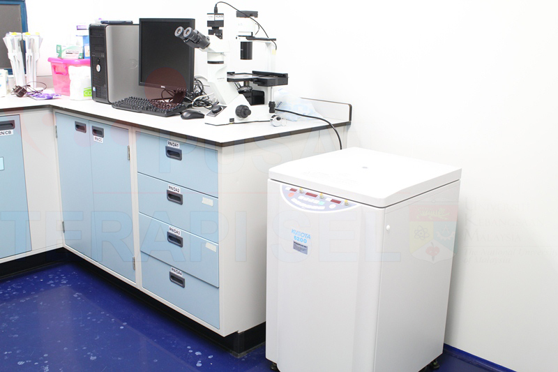 CELL CULTURE (Sel Kultur) – Pusat Terapi Sel